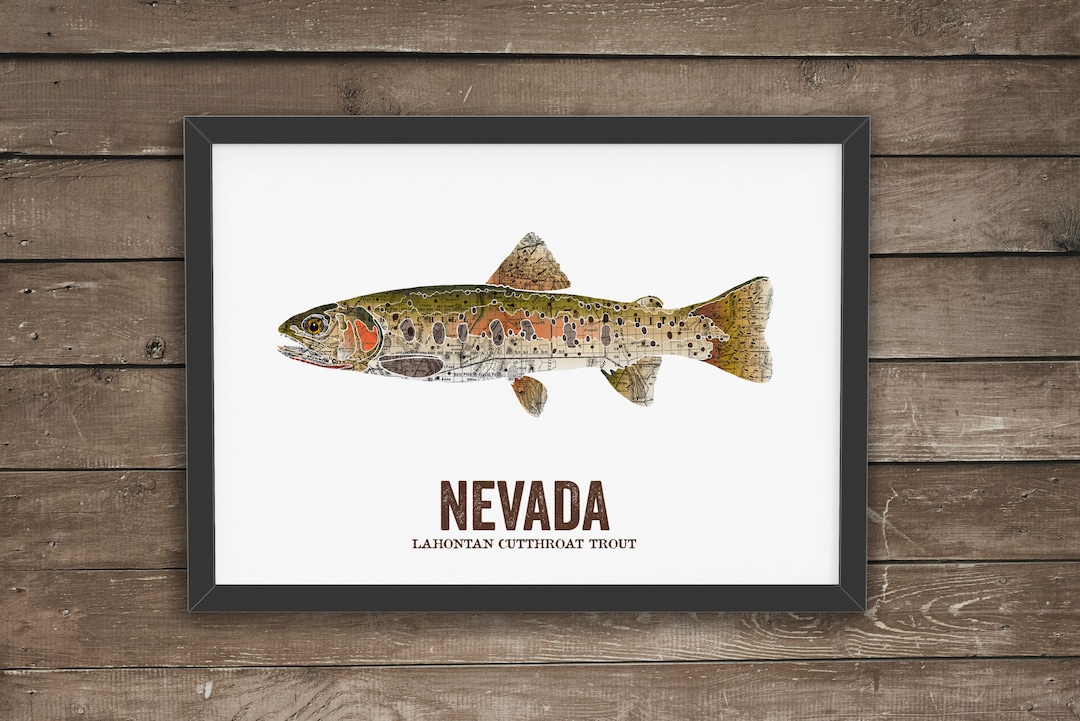 Nevada State Fish, Map Art, Nature Art, Vintage Map Art, Art Print ...