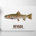 Nevada State Fish Map Art Nature Art Vintage Map Art Art - Etsy
