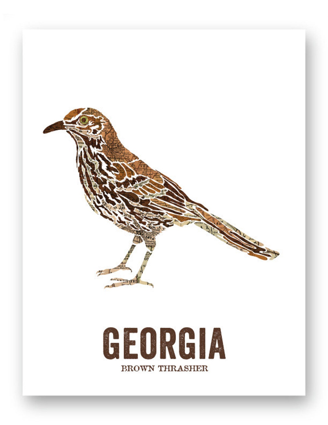 Georgia State Bird Nature Art Outdoor Art Vintage Map Art - Etsy