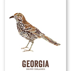 Georgia State Bird, Nature Art, Outdoor Art, Vintage Map Art, Art Print ...