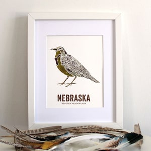 Nebraska State Bird, Nature Art, Outdoor Art, Vintage Map Art, Art ...