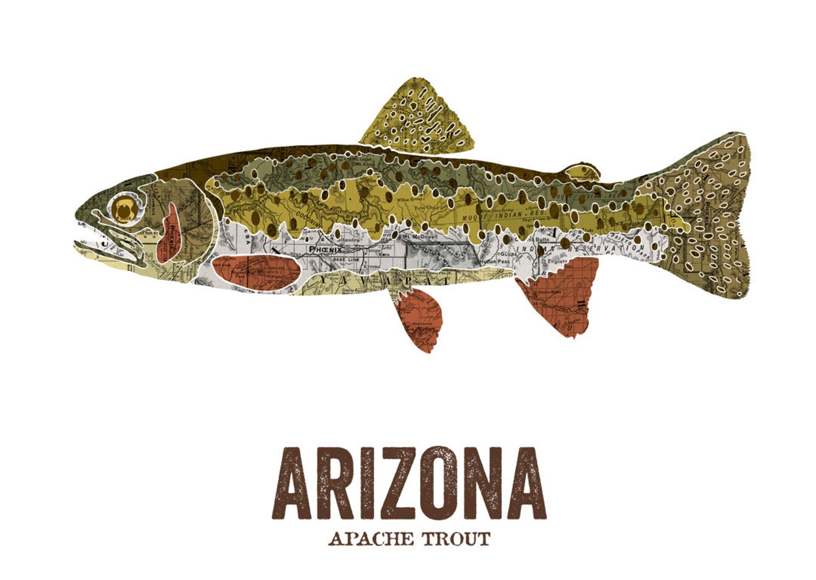 Apache Trout Art Print, Arizona State Fish, Vintage Map - Etsy