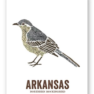 Arkansas State Bird, Nature Art, Outdoor Art, Vintage Map Art, Art ...
