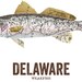 Delaware State Fish, Map Art, Nature Outdoor Art, Vintage Map Art, Art ...
