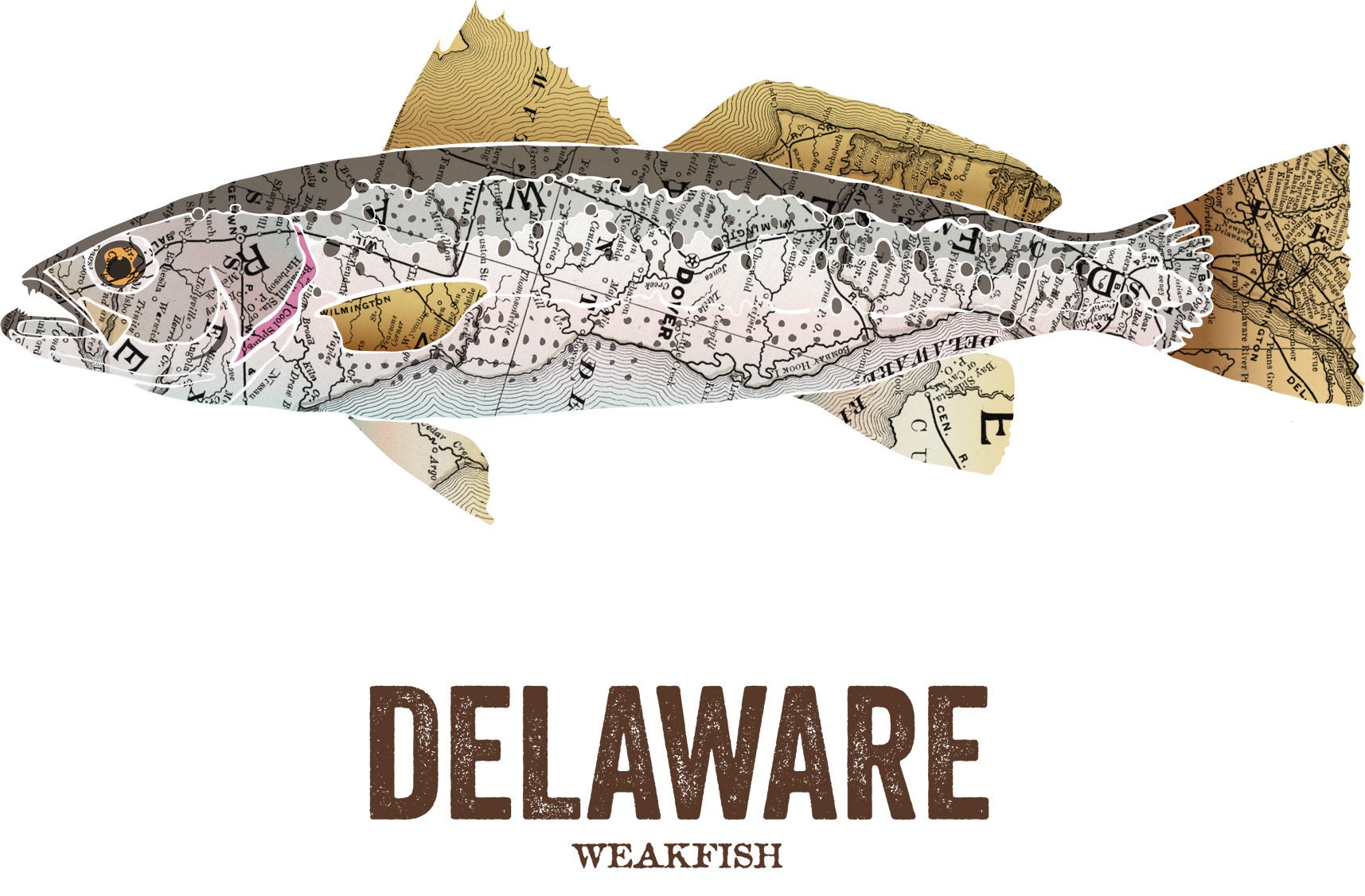 Delaware State Fish Map Art Nature Outdoor Art Vintage Map | Etsy