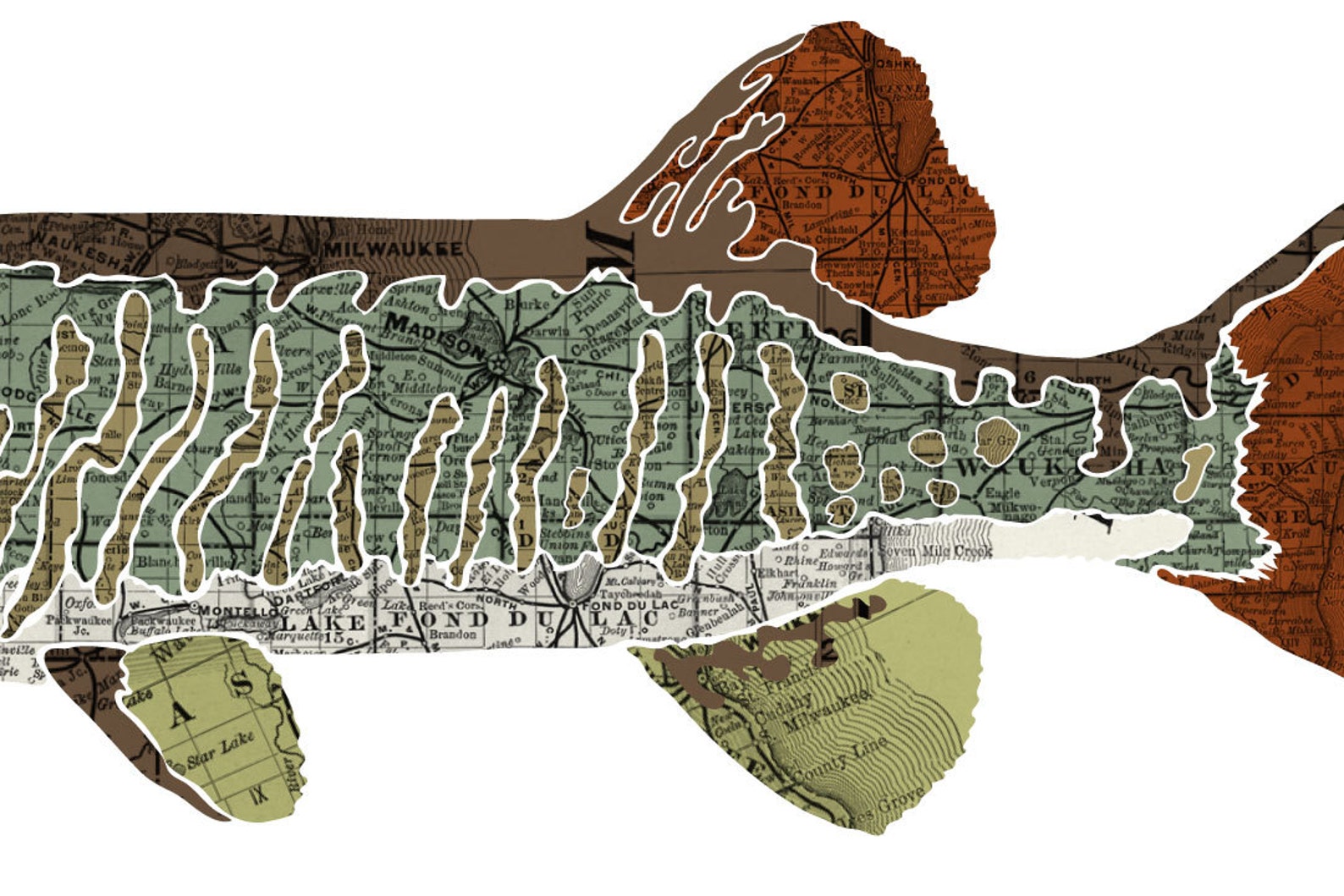 Wisconsin State Fish, Map Art, Nature Outdoor Art, Vintage Map Art, Art ...