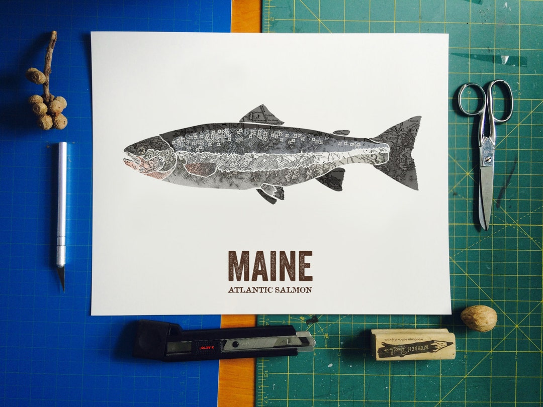 Maine State Fish, Nature Art, Outdoor Art, Vintage Map Art, Art Print ...