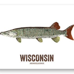 Wisconsin State Fish, Map Art, Nature Outdoor Art, Vintage Map Art, Art ...