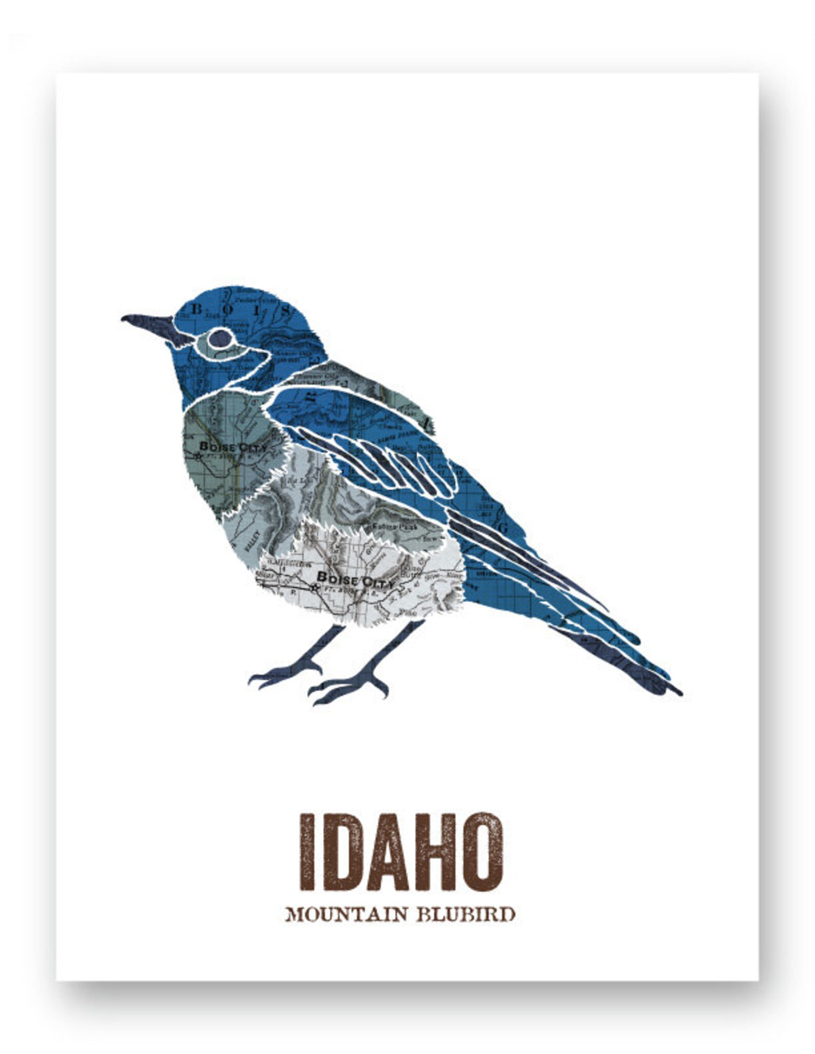 Idaho Mountain Bluebird Art Print, Vintage Map Bird Illustration - Etsy