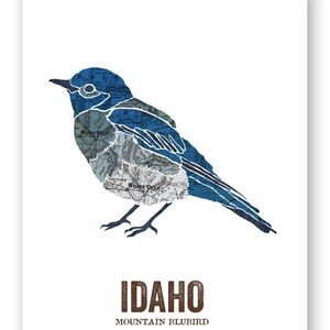 Idaho State Bird, Nature Art, Outdoor Art, Vintage Map Art, Art Print ...