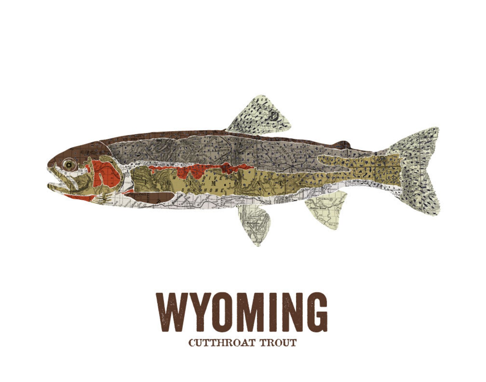 Wyoming State Fish, Map Art, Nature Outdoor Art, Vintage Map Art, Art ...
