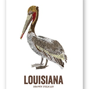 Louisiana State Bird, Nature Art, Outdoor Art, Vintage Map Art, Art ...