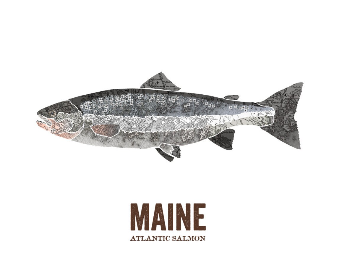 Maine State Fish Nature Art Outdoor Art Vintage Map Art - Etsy