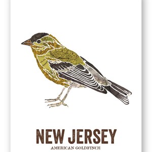 American Goldfinch Art Print, New Jersey State Bird, Vintage Map - Etsy