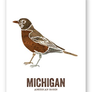 Michigan State Bird, Nature Art, Outdoor Art, Vintage Map Art, Art ...