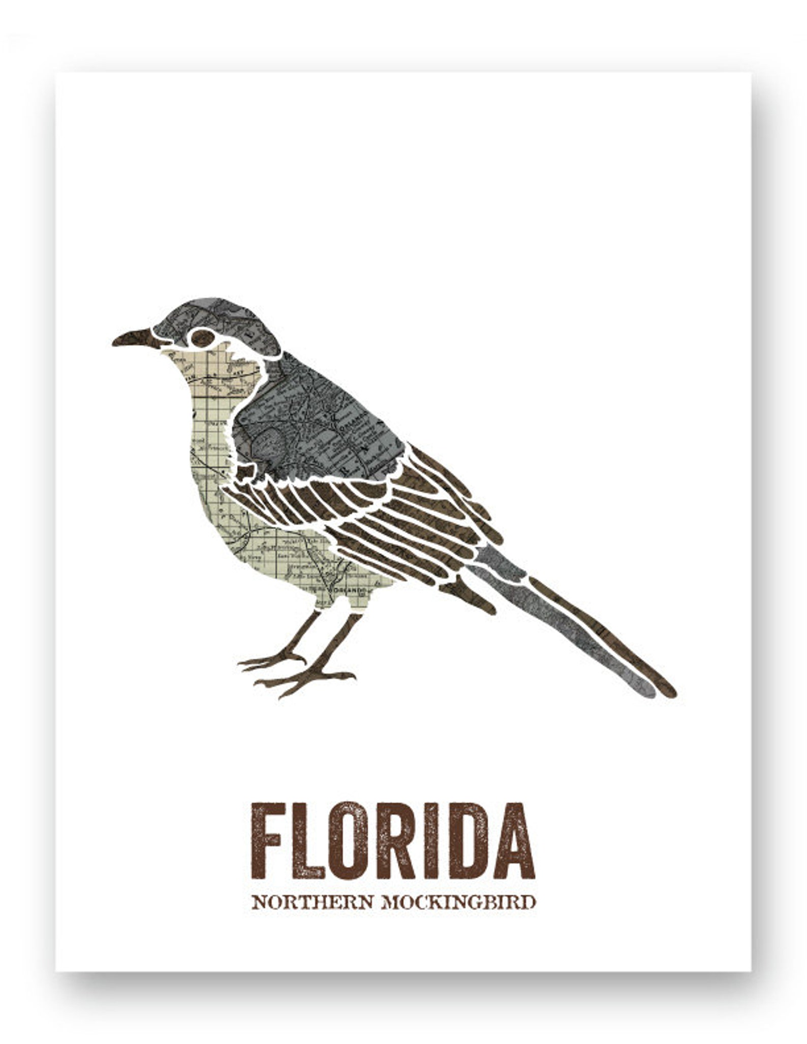 Florida State Bird Print, Vintage Map Art, Northern Mockingbird - Etsy