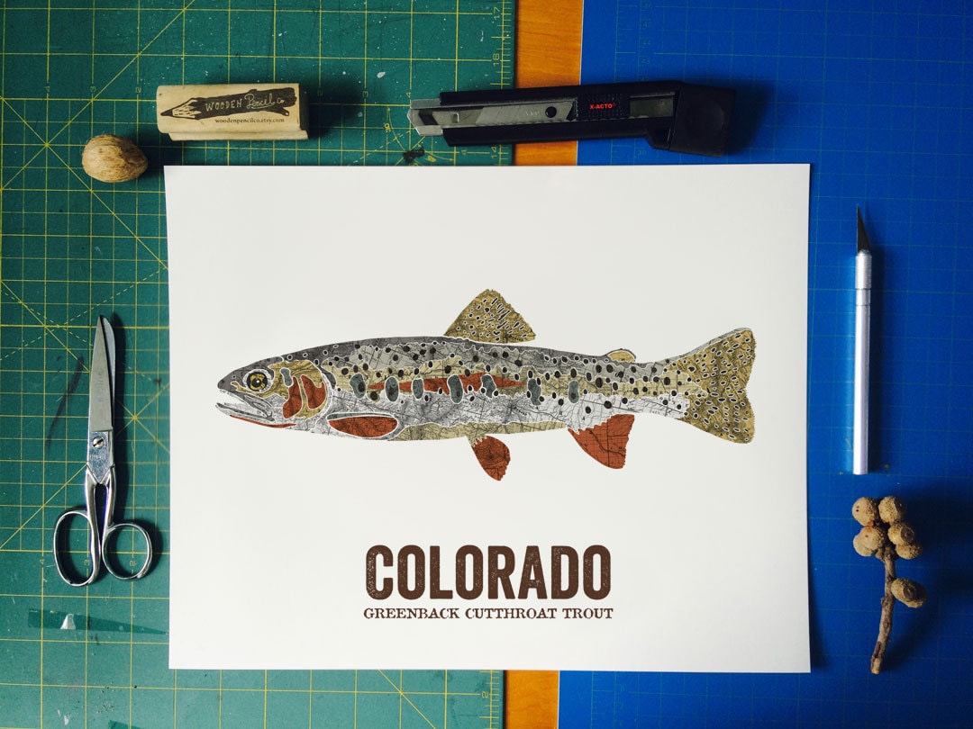 Colorado State Fish, Map Art, Nature Outdoor Art, Vintage Map Art, Art ...