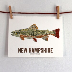 New Hampshire State Fish, Map Art, Nature Outdoor Art, Vintage Map Art ...