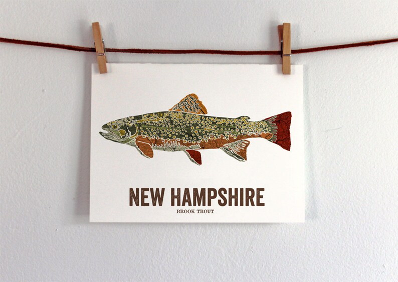 New Hampshire State Fish Map Art Nature Outdoor Art Vintage - Etsy