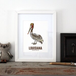 Louisiana State Bird, Nature Art, Outdoor Art, Vintage Map Art, Art ...