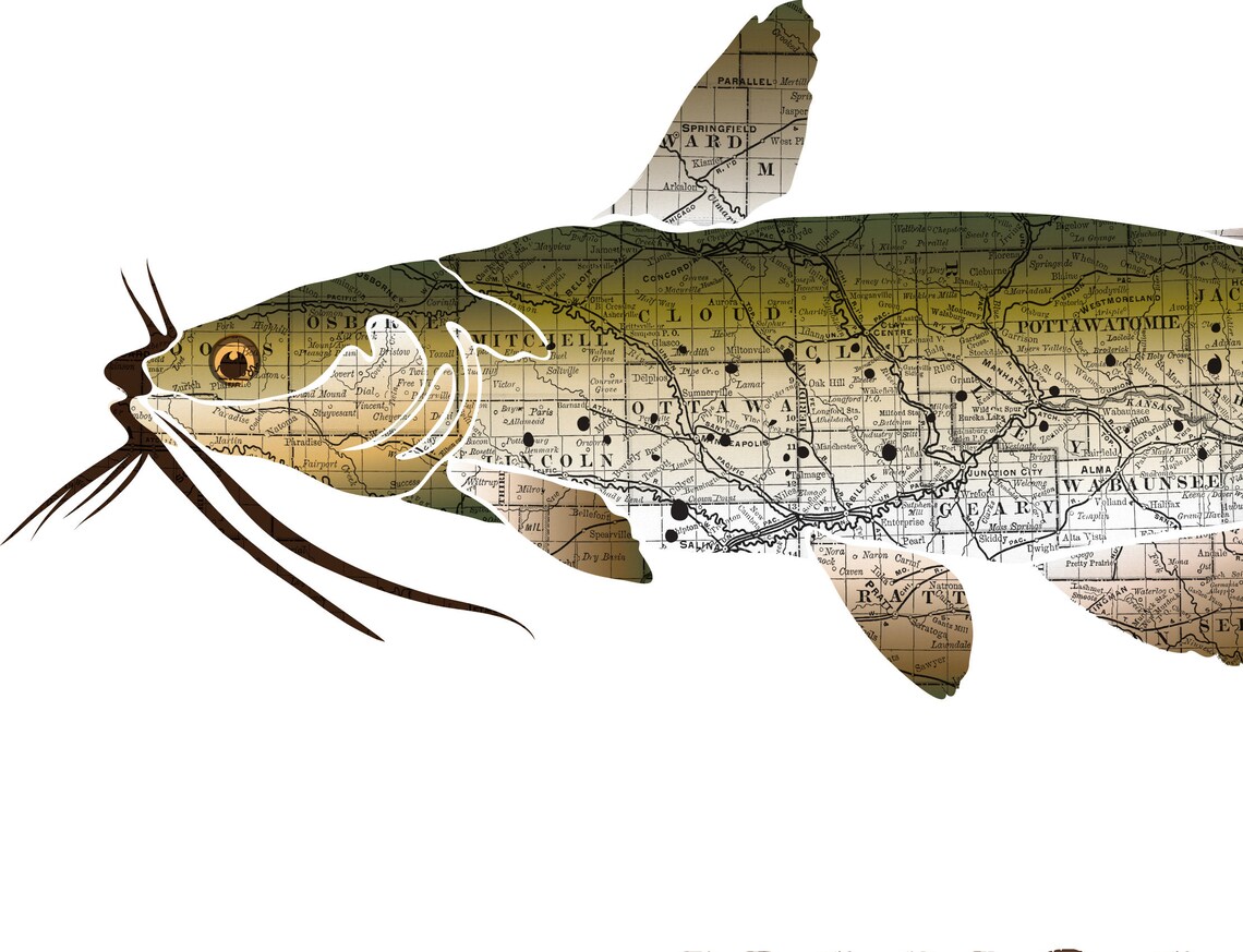 Kansas State Fish Map Art Nature Outdoor Art Vintage Map | Etsy