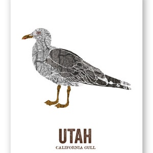 Utah State Bird, Art, Nature Art, Outdoor Art, Vintage Map Art, Art ...
