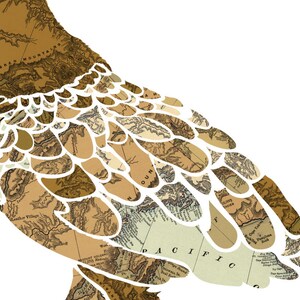 Alaska State Bird, Nature Art, Outdoor Art, Vintage Map Art, Art Print ...