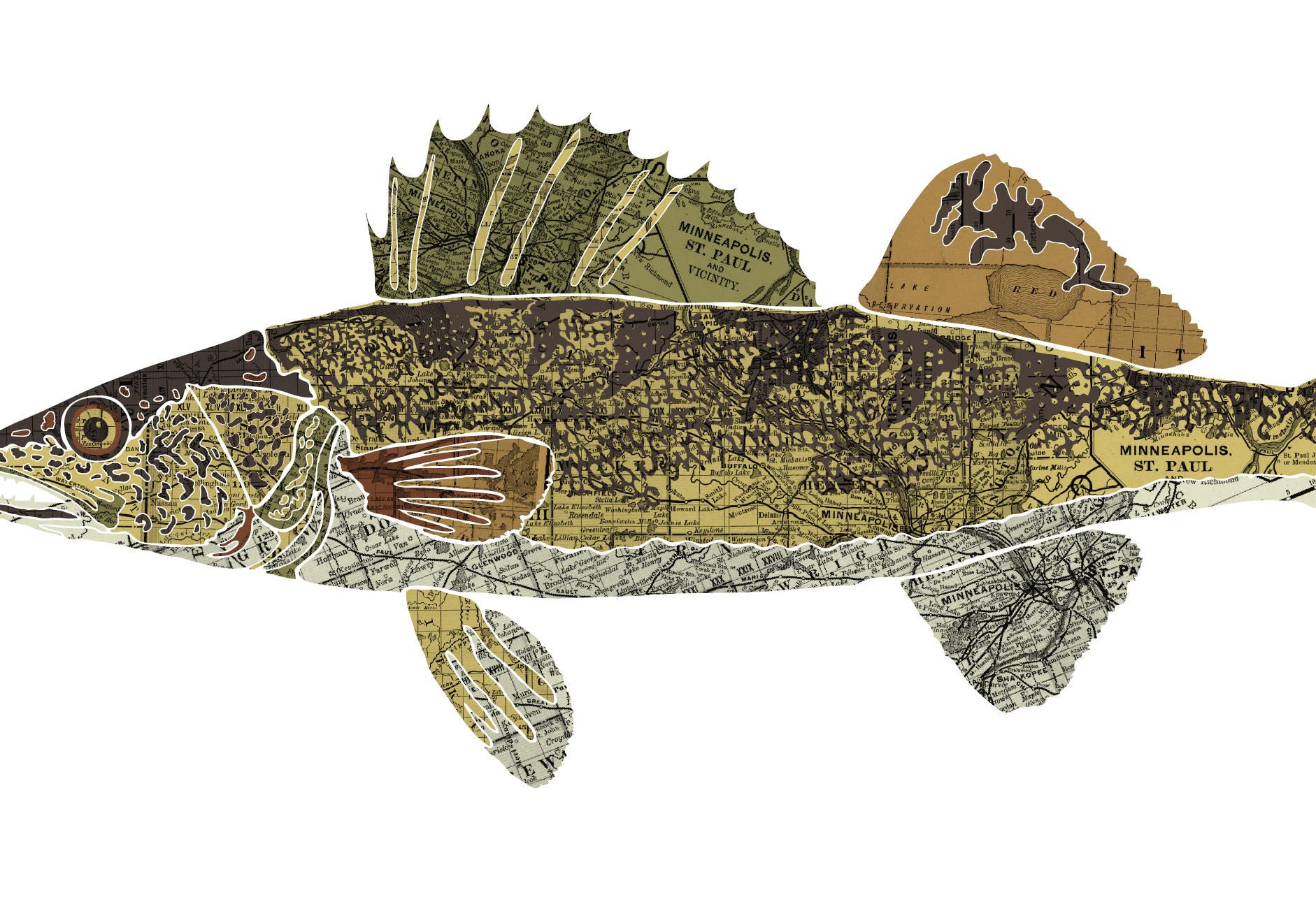 Minnesota State Fish, Map Art, Nature Outdoor Art, Vintage Map Art, Art ...