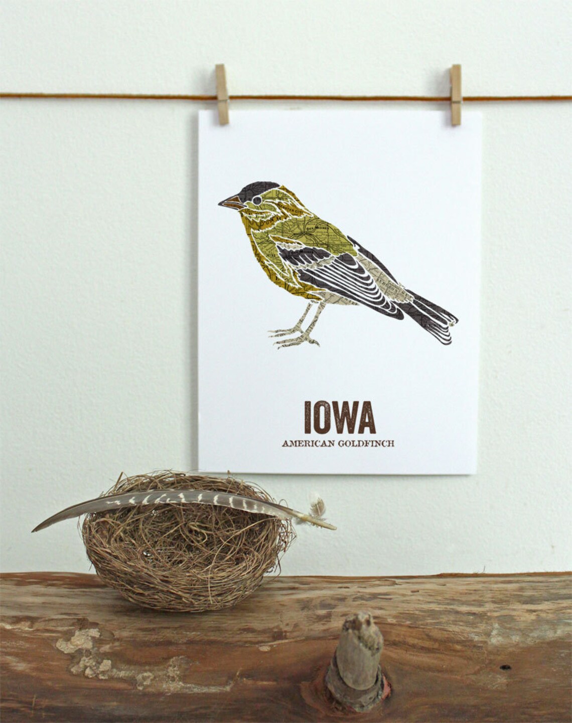 Iowa State Bird Nature Art Outdoor Art Vintage Map Art Art - Etsy