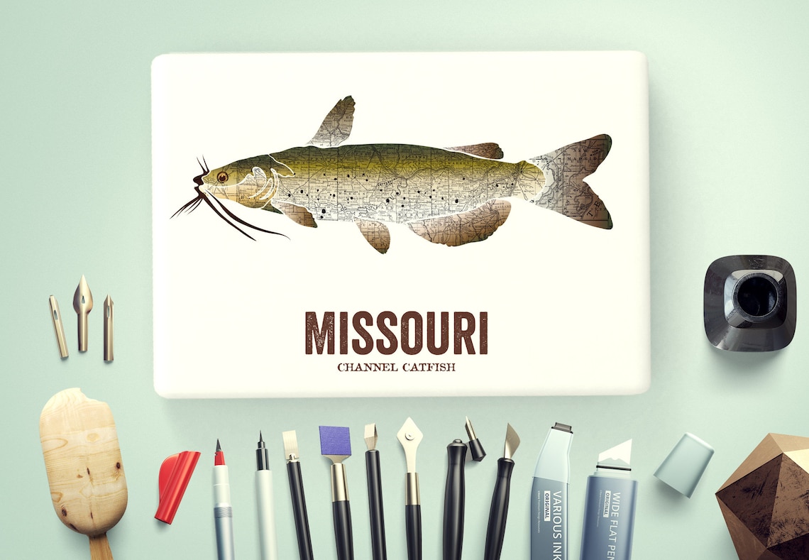 Missouri State Fish Map Art Nature Outdoor Art Vintage Map - Etsy
