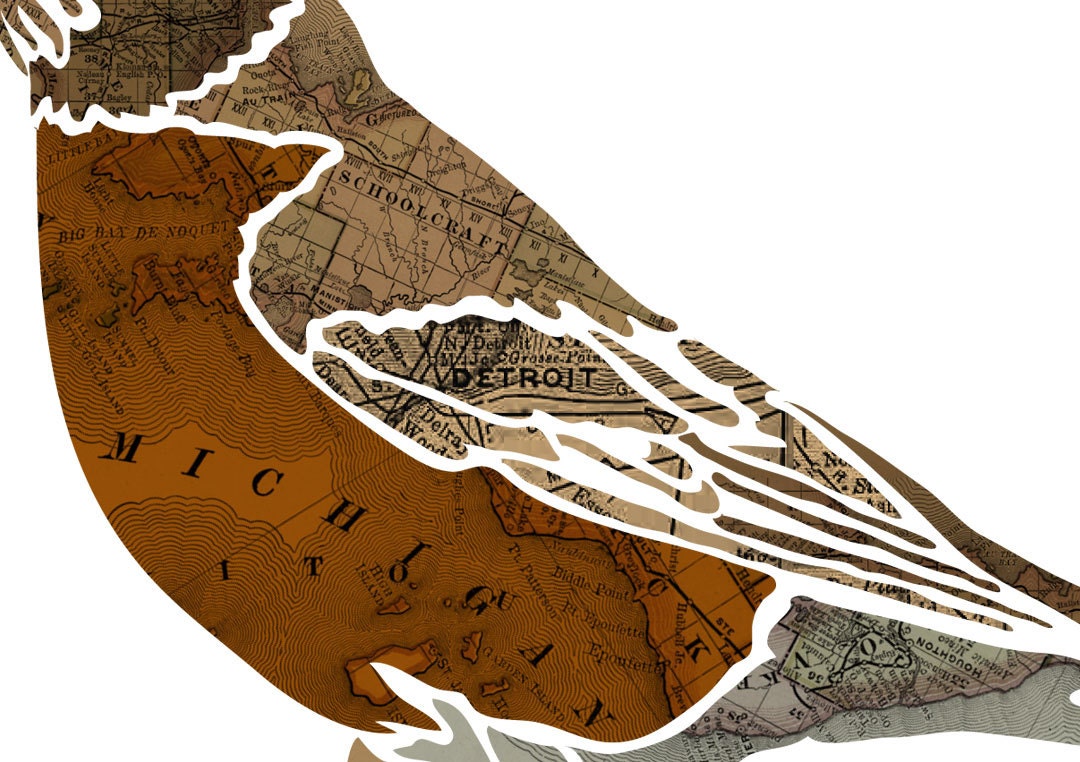 Michigan Robin Art Print, Vintage Map Bird Illustration - Etsy