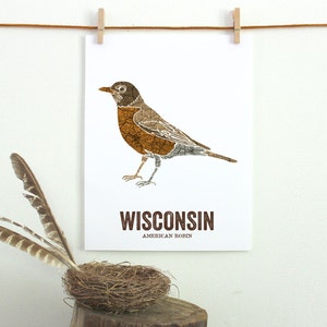 Wisconsin State Bird, Nature Art, Outdoor Art, Vintage Map Art, Art ...
