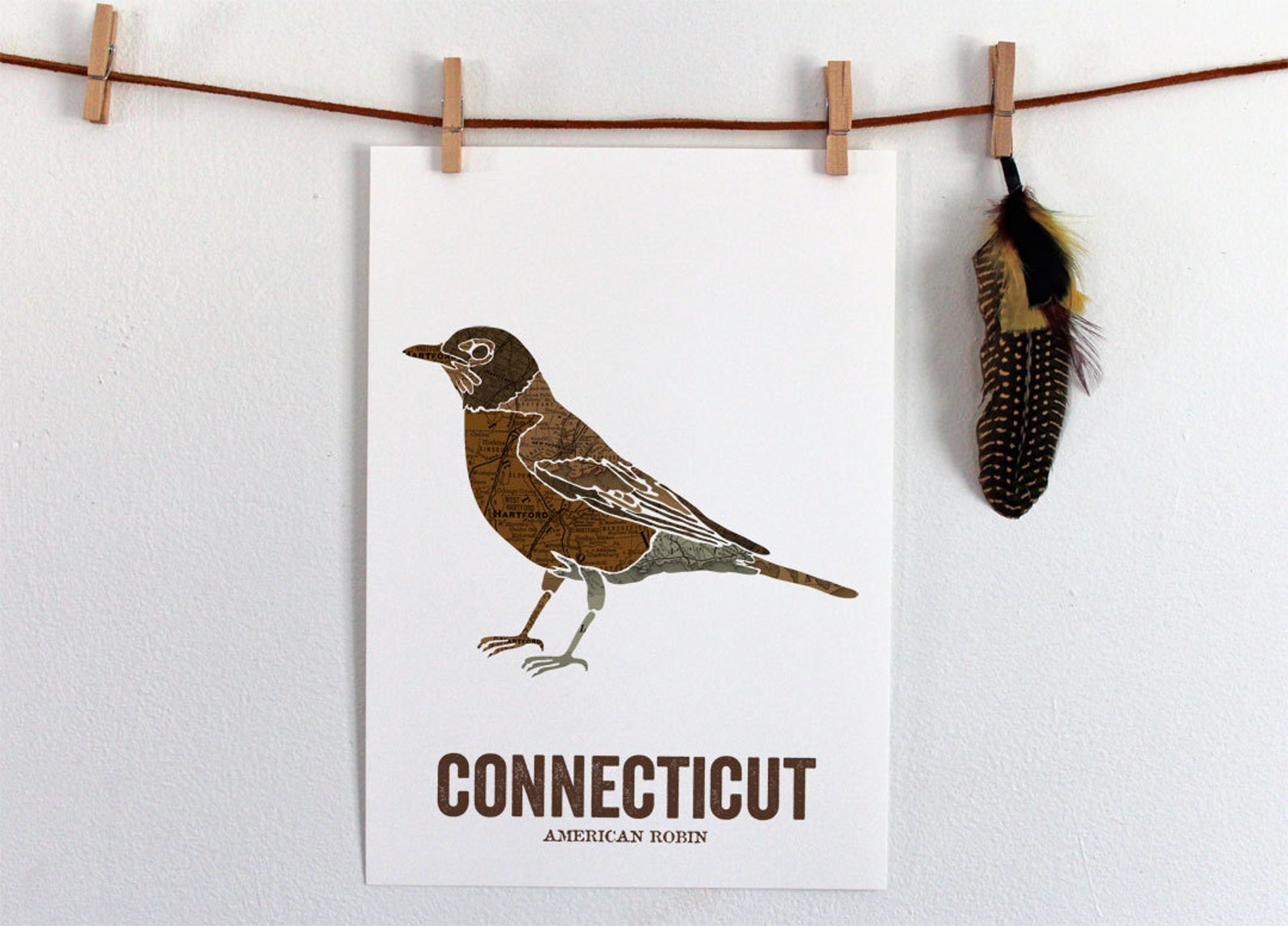 Connecticut State Bird, Nature Art, Outdoor Art, Vintage Map Art, Art ...