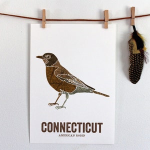 Connecticut State Bird, Nature Art, Outdoor Art, Vintage Map Art, Art ...