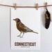Connecticut State Bird, Nature Art, Outdoor Art, Vintage Map Art, Art ...