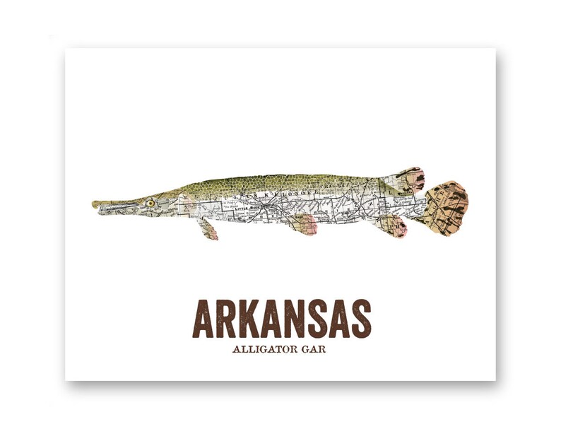 Arkansas State Fish Map Art Nature Outdoor Art Vintage Map - Etsy