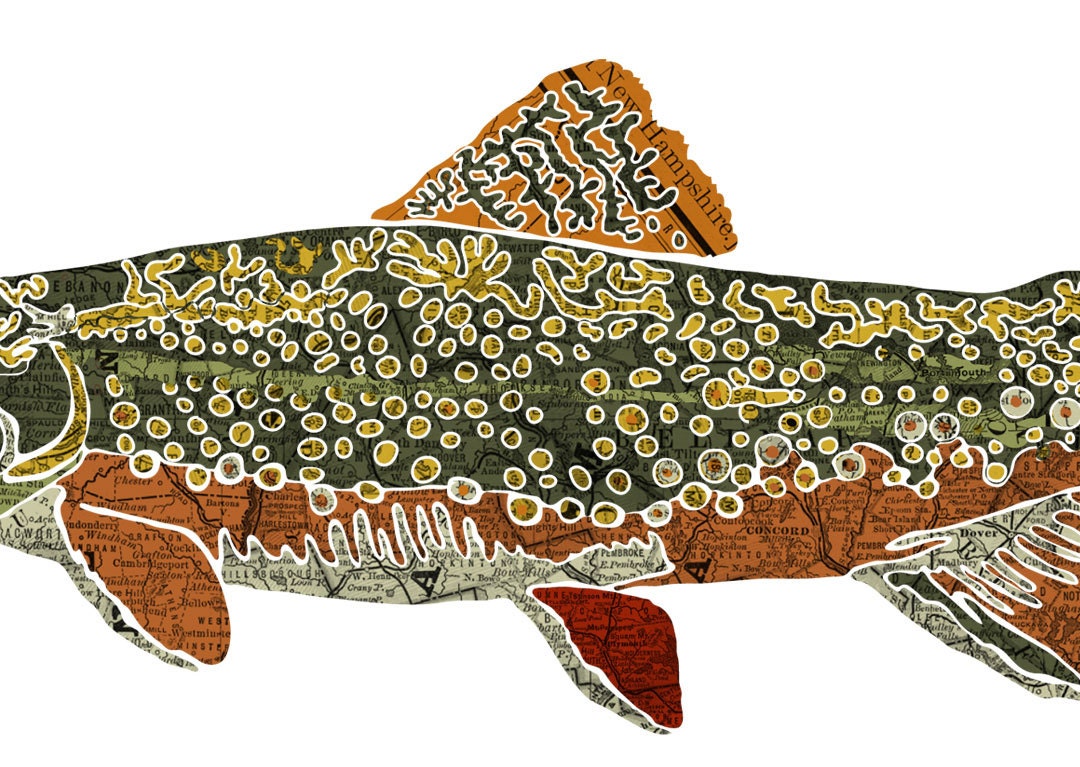 New Hampshire State Fish Map art Nature Outdoor art Vintage | Etsy