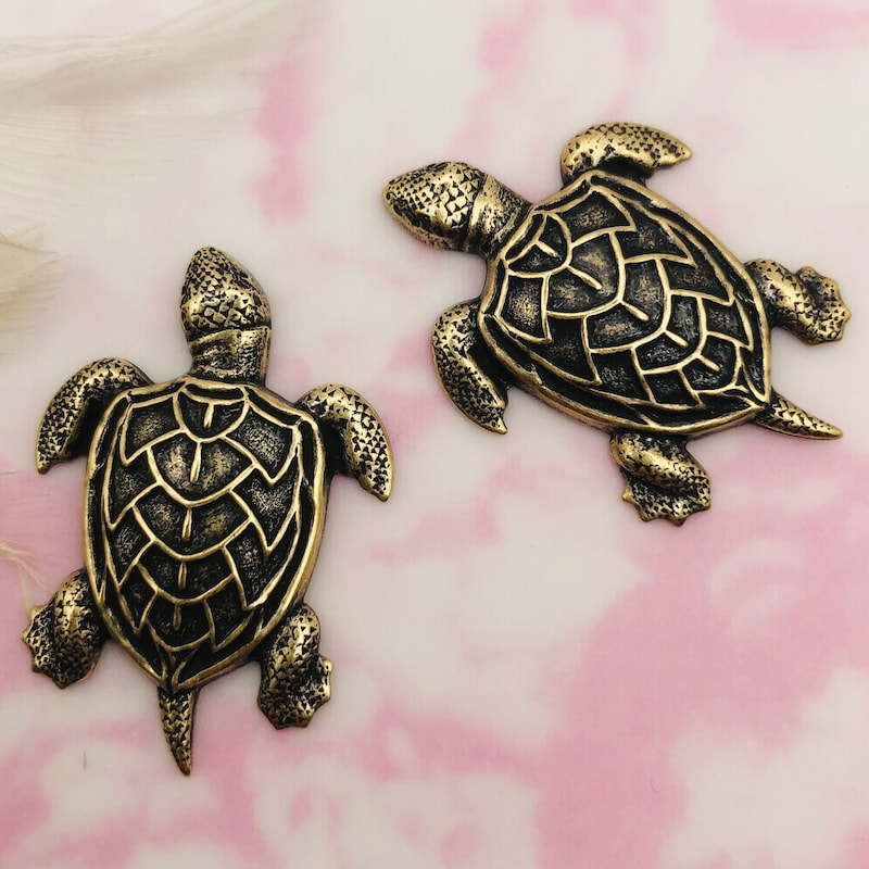 Turtle Stamp - Etsy