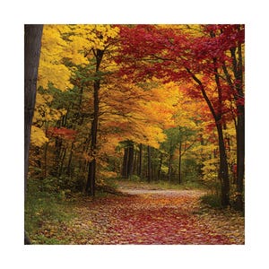 Vibrant Autumn Forest Path Poster Stunning Fall Foliage Art Print-matte ...
