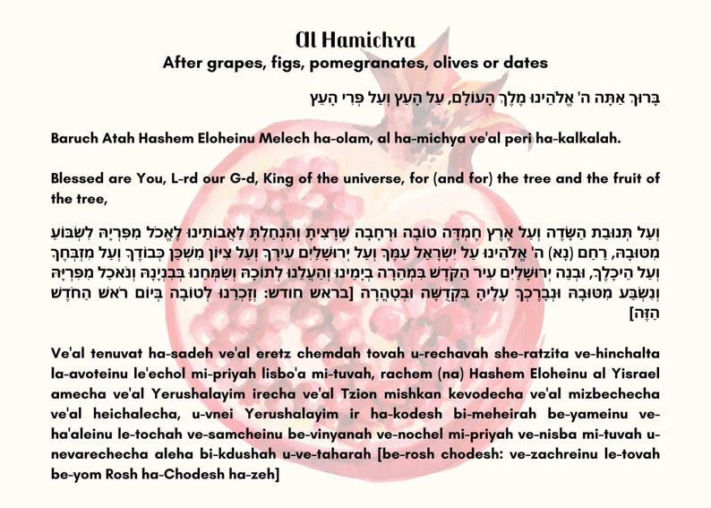 Printable After Meal Brachot Cards | Birkat Hamazon, Al Hamichya, Borei ...