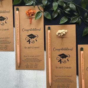 Graduation Pencil Gift, Graduate Pencils, Graduation Pencil Favors ...