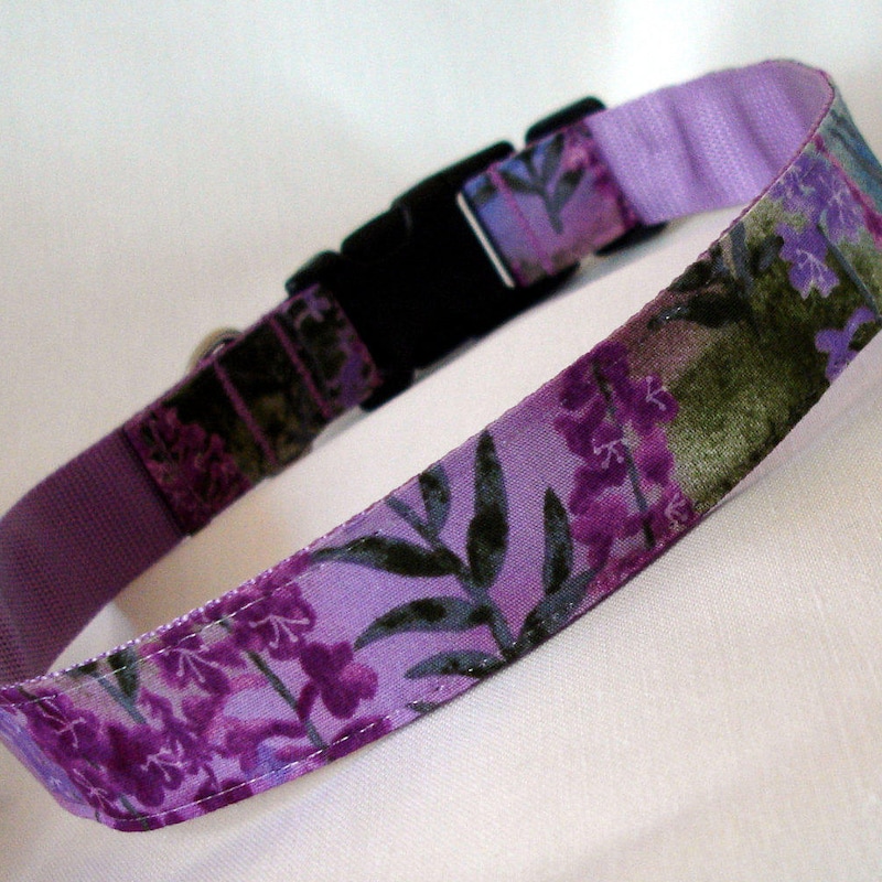 Dog Collar, Alaska - Etsy