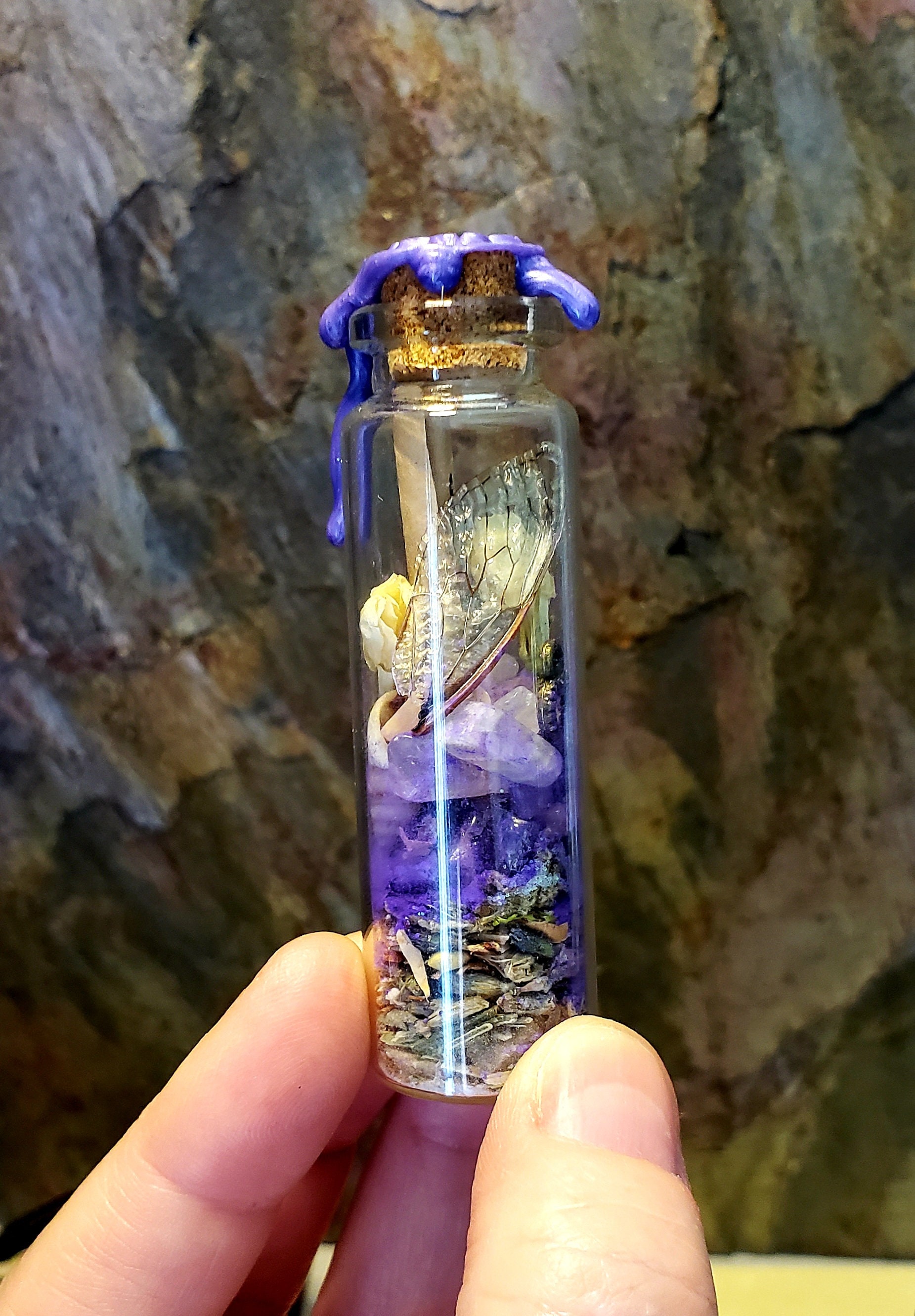 Real Cicada Wing Magick Transformation Spell Jar for Change, Intention ...