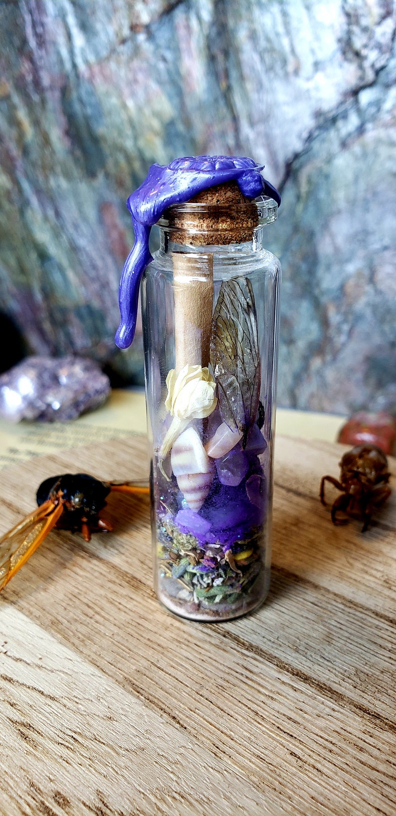 Real Cicada Wing Magick Transformation Spell Jar for Change, Intention ...