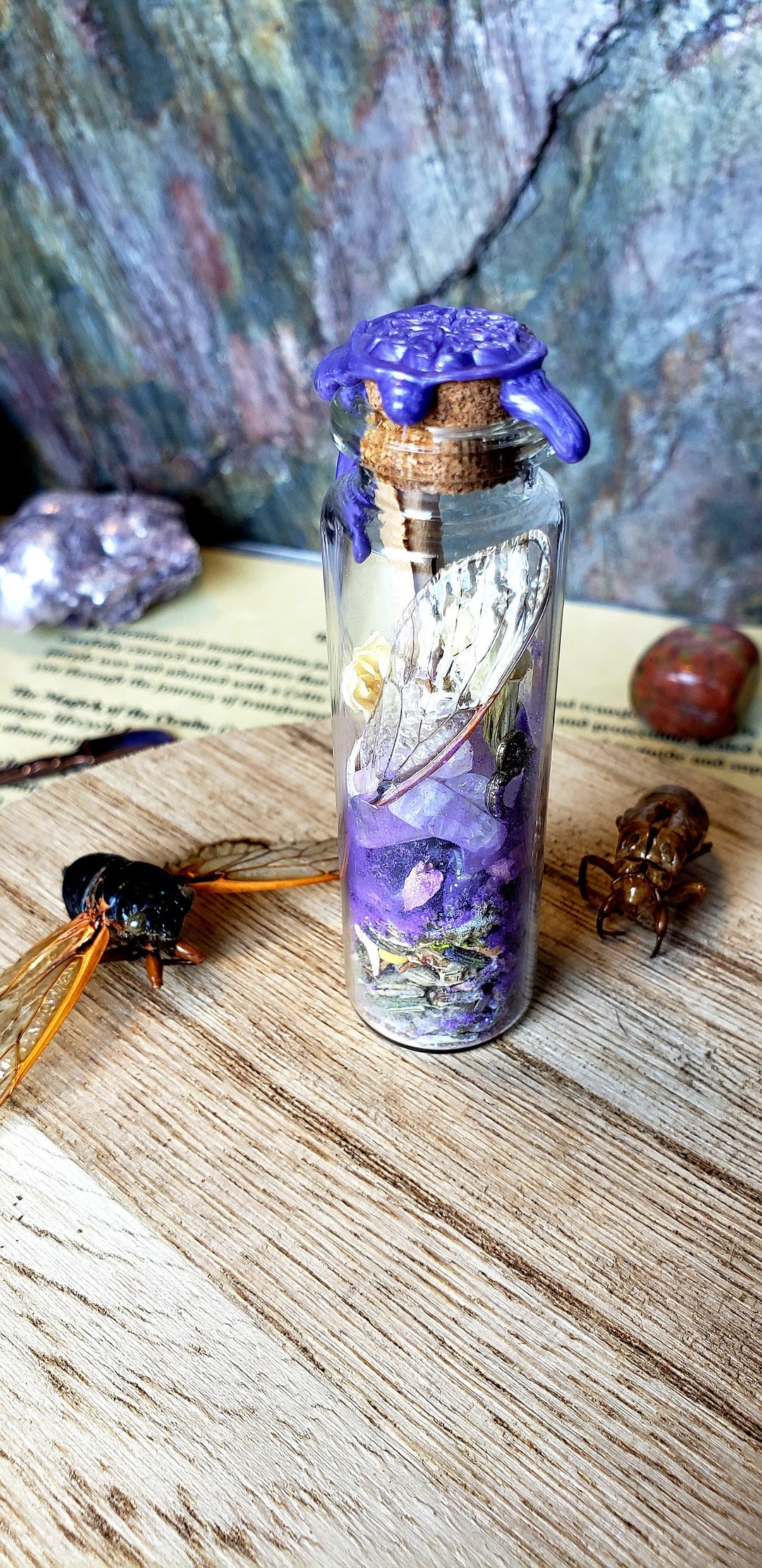 Real Cicada Wing Magick Transformation Spell Jar for Change, Intention ...
