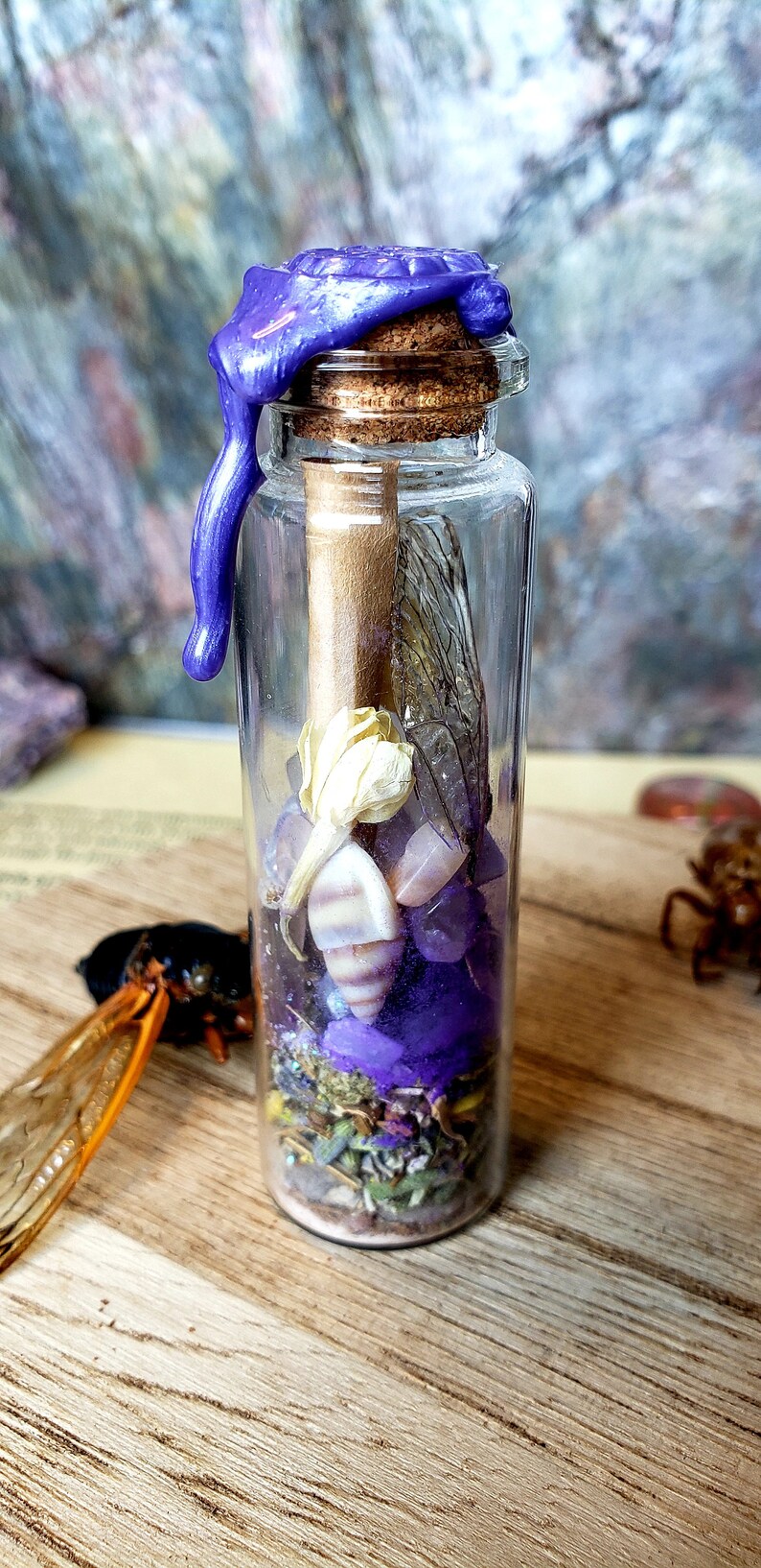 Real Cicada Wing Magick Transformation Spell Jar for Change, Intention ...
