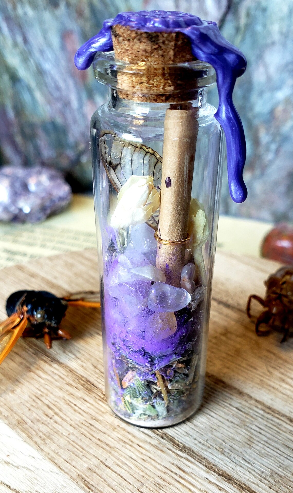 Real Cicada Wing Magick Transformation Spell Jar for Change, Intention ...