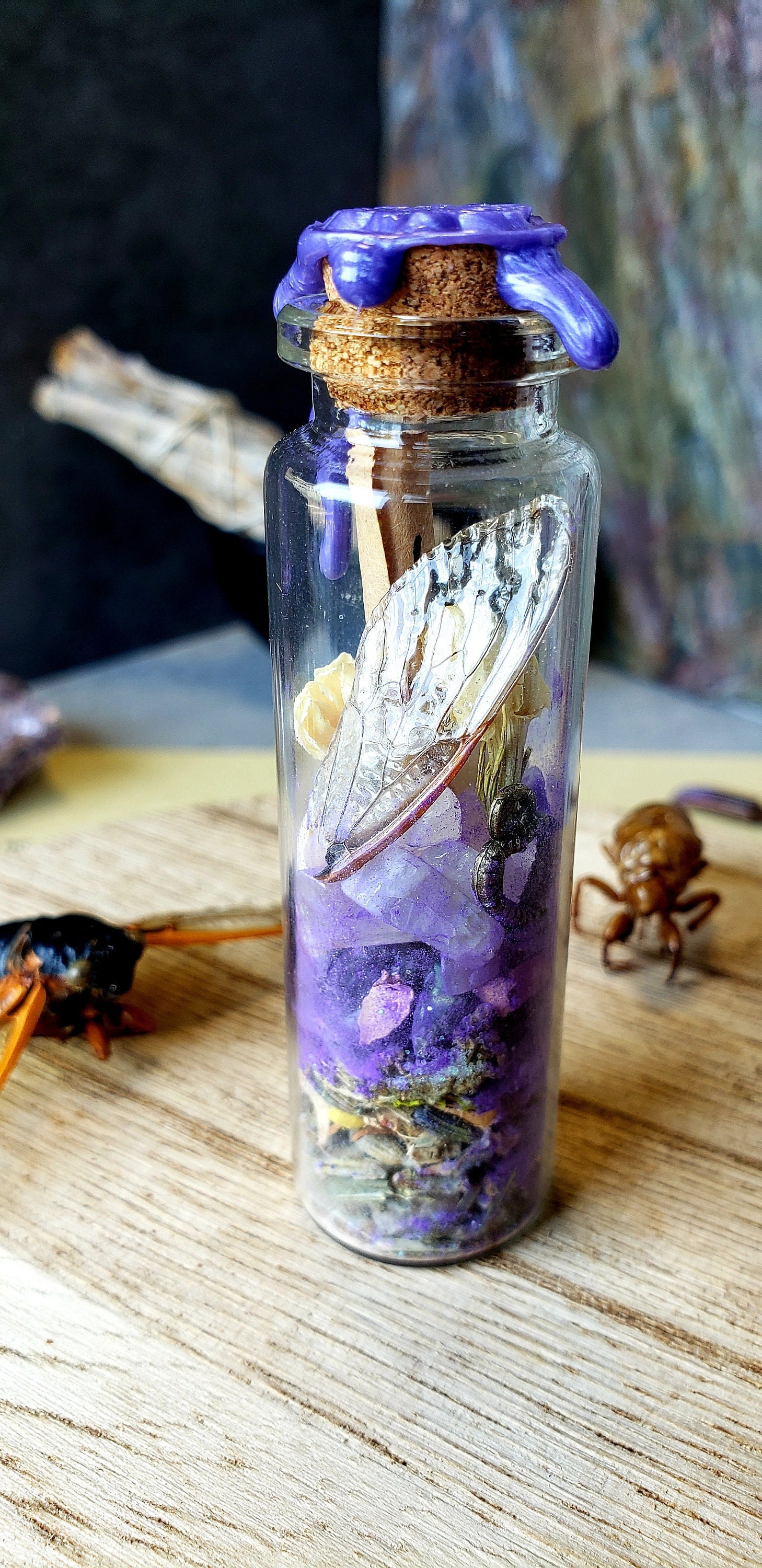 Real Cicada Wing Magick Transformation Spell Jar for Change, Intention ...