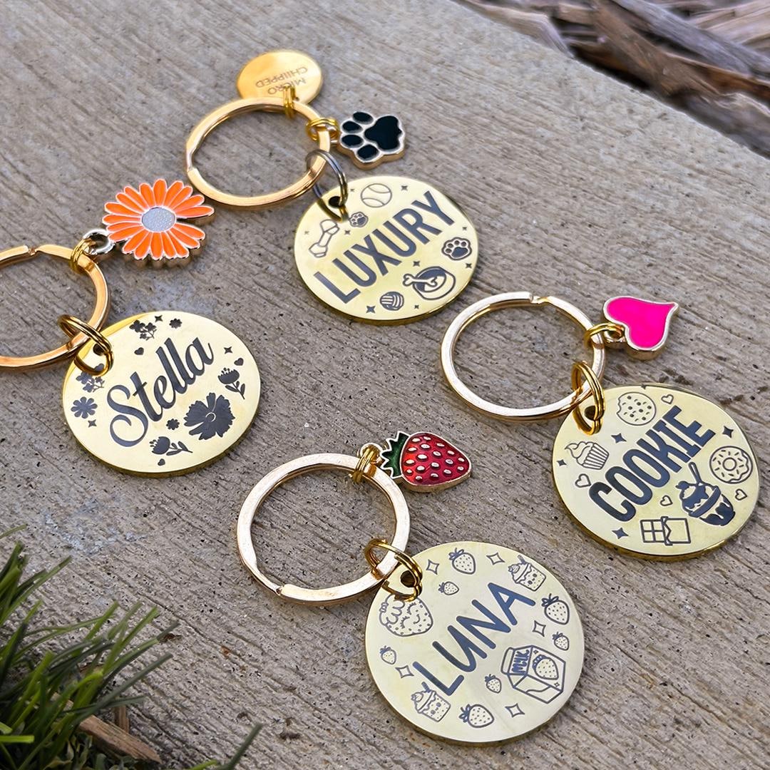 Dog Tag Dog Collar Tag Personalized Cat Tag Custom Cat Collar Tag Cat ...