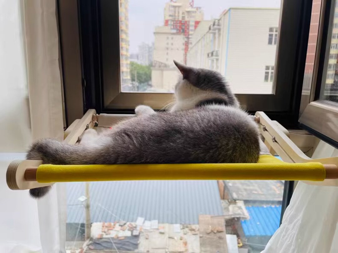 Cute Cat Window Perch, Cat Window Hammock, Washable Cute Pet Cat Seat ...